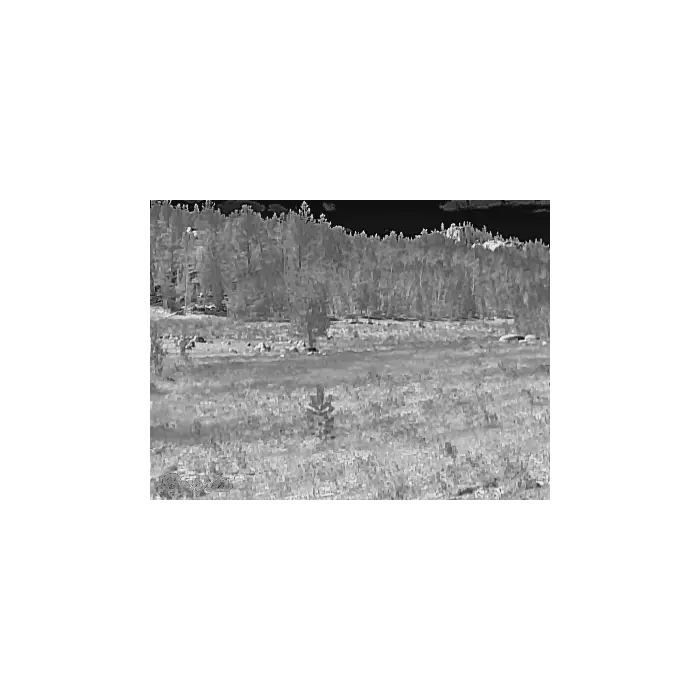 BTS35 v3 640 | Burris Optics